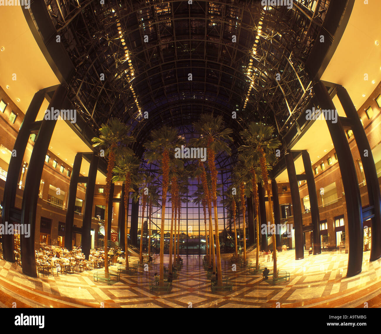 WINTER GARDEN ATRIUM WORLD TRADE CENTER MANHATTAN NEW YORK CITY USA ...
