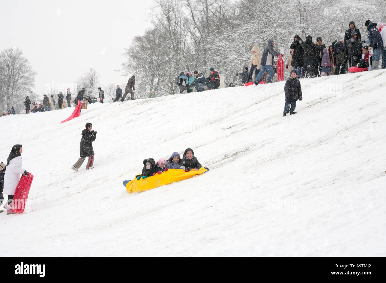 People sledging in Queens Park Glasgow Stock Photo - Alamy
