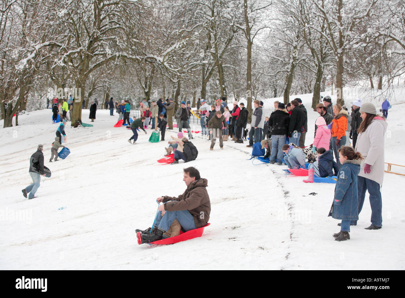 People sledging in Queens Park Glasgow Stock Photo - Alamy