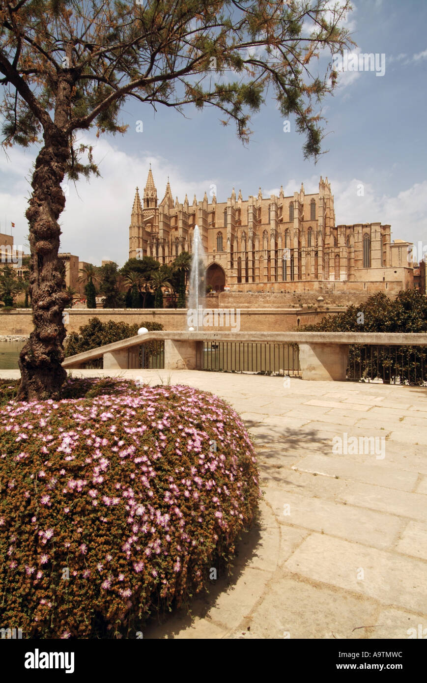 Palma Cathedral a Spanish Gothic Roman Catholic religion church ...