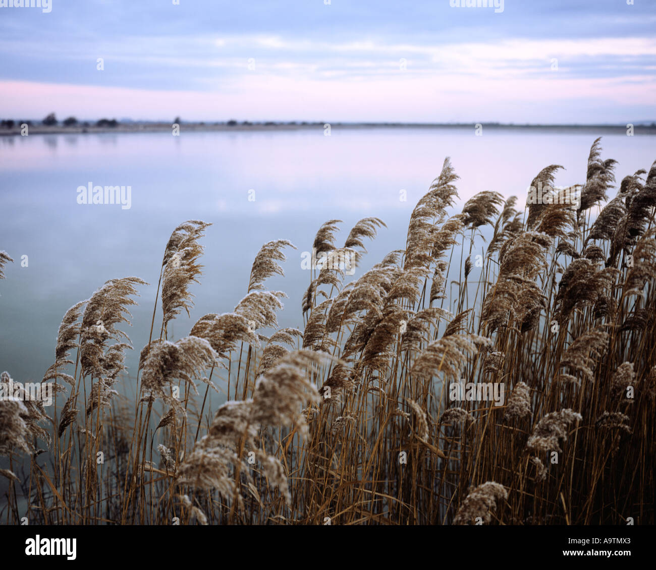 Higham Kent Stock Photos & Higham Kent Stock Images - Alamy