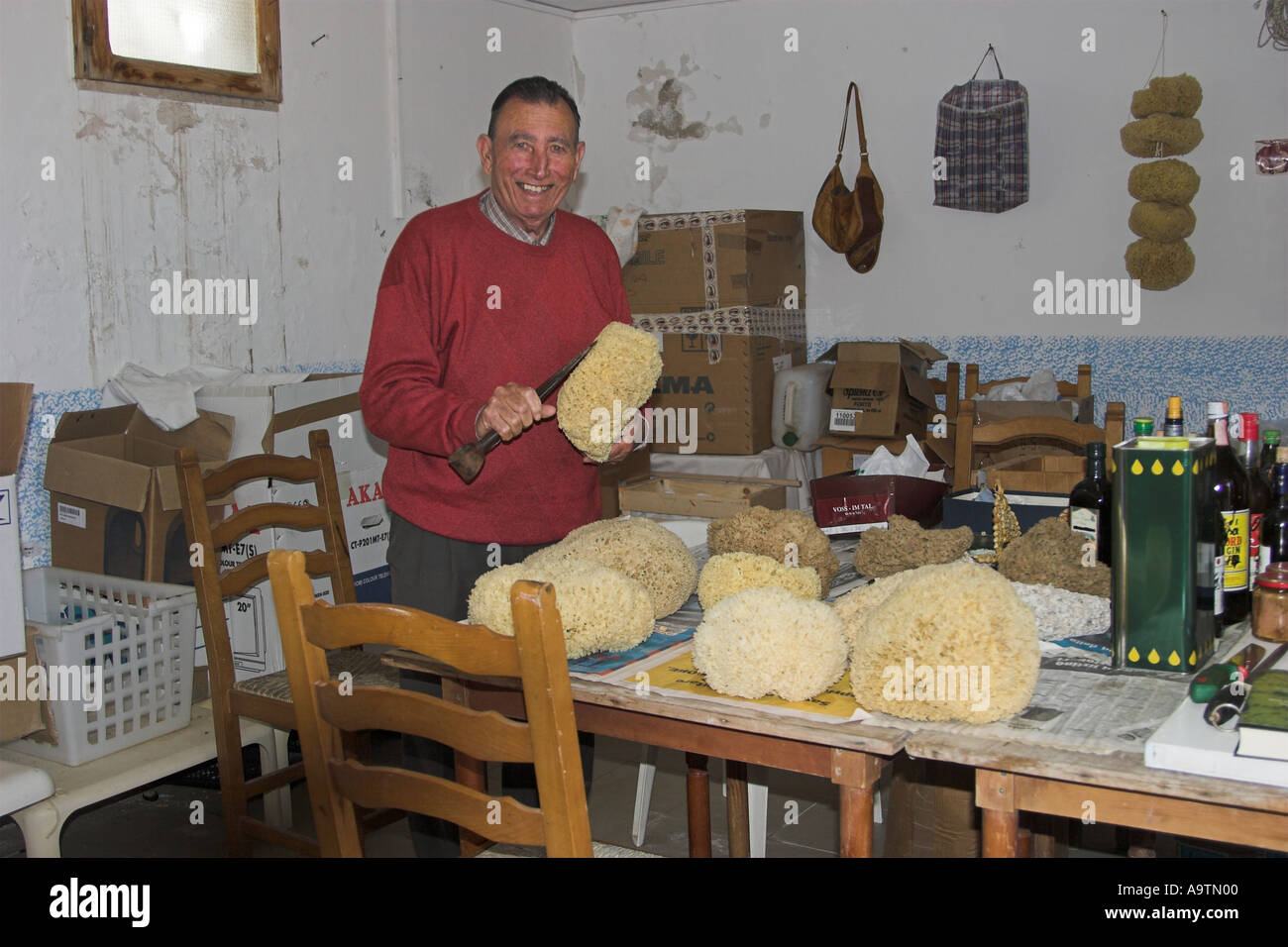 Spongeking hi-res stock photography and images - Alamy