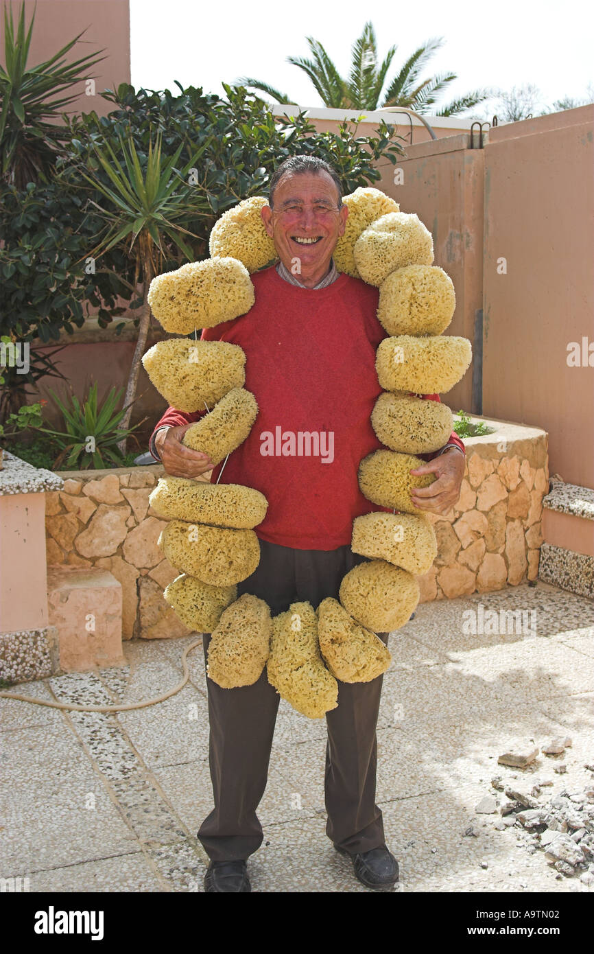 Spongeking hi-res stock photography and images - Alamy