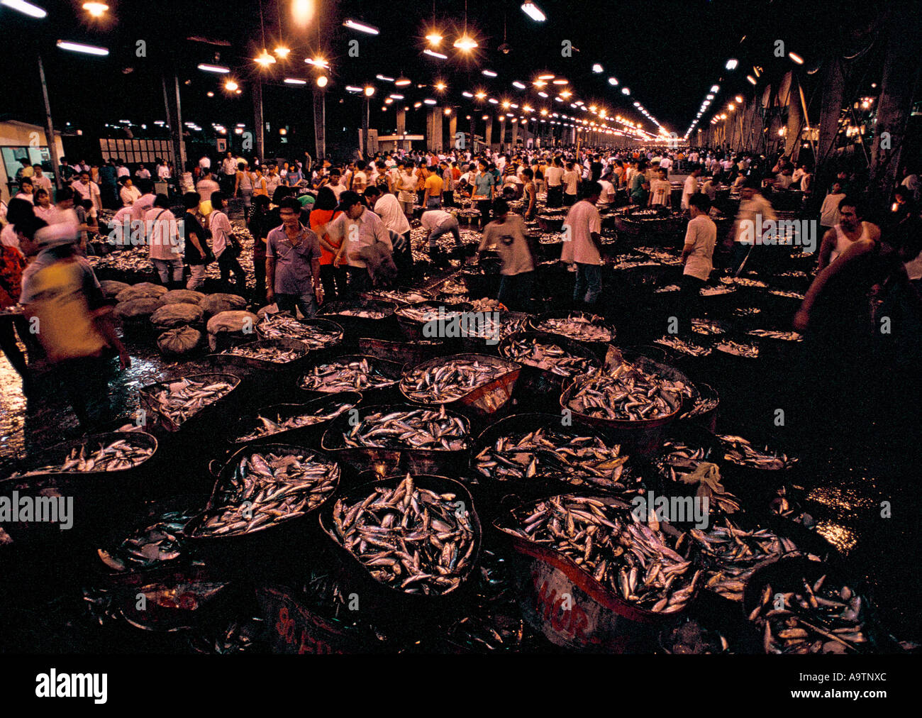 Navotas fish market, manilla, is one of the largest in Asia Stock Photo ...
