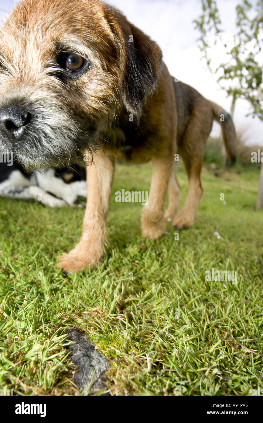Close to scottish border hi-res stock photography and images - Alamy