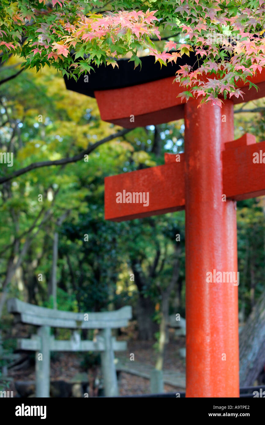 Tori gates Kyoto Japan Stock Photo - Alamy