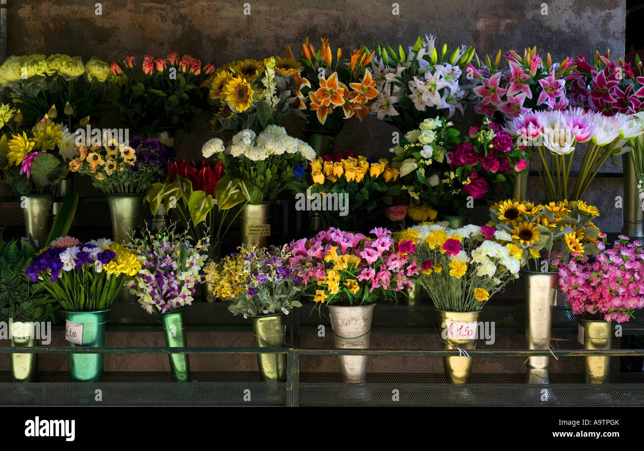 Vases flower hi-res stock photography and images - Alamy