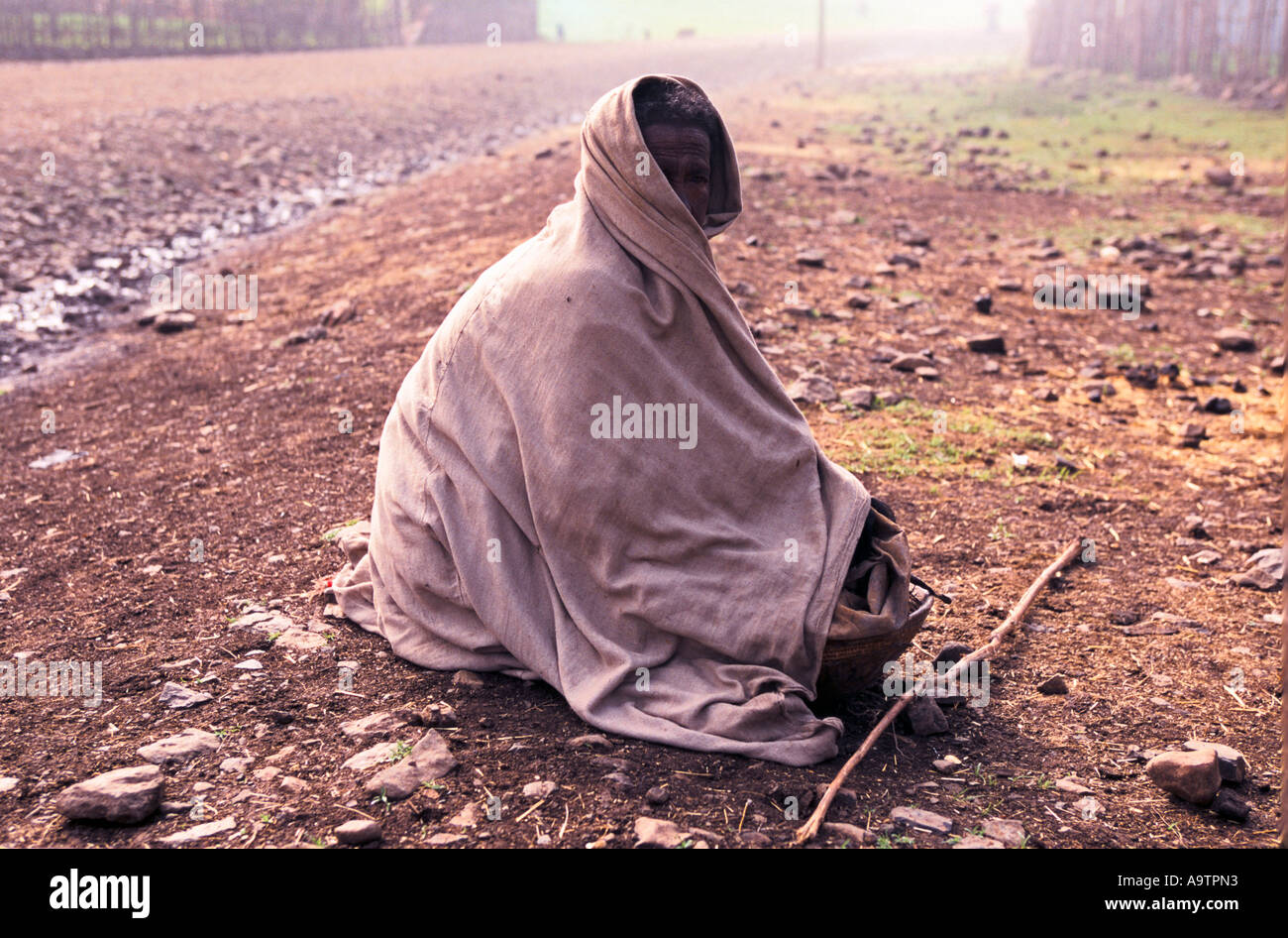 Adjibar hi-res stock photography and images - Alamy