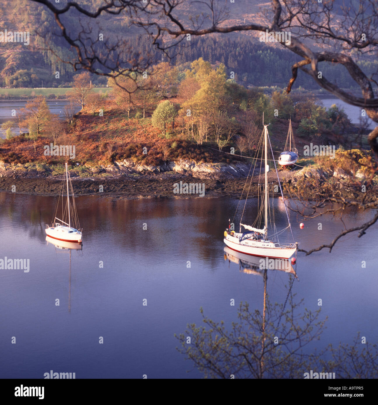 Boat & reflections still water of Loch Leven early Spring Scottish ...