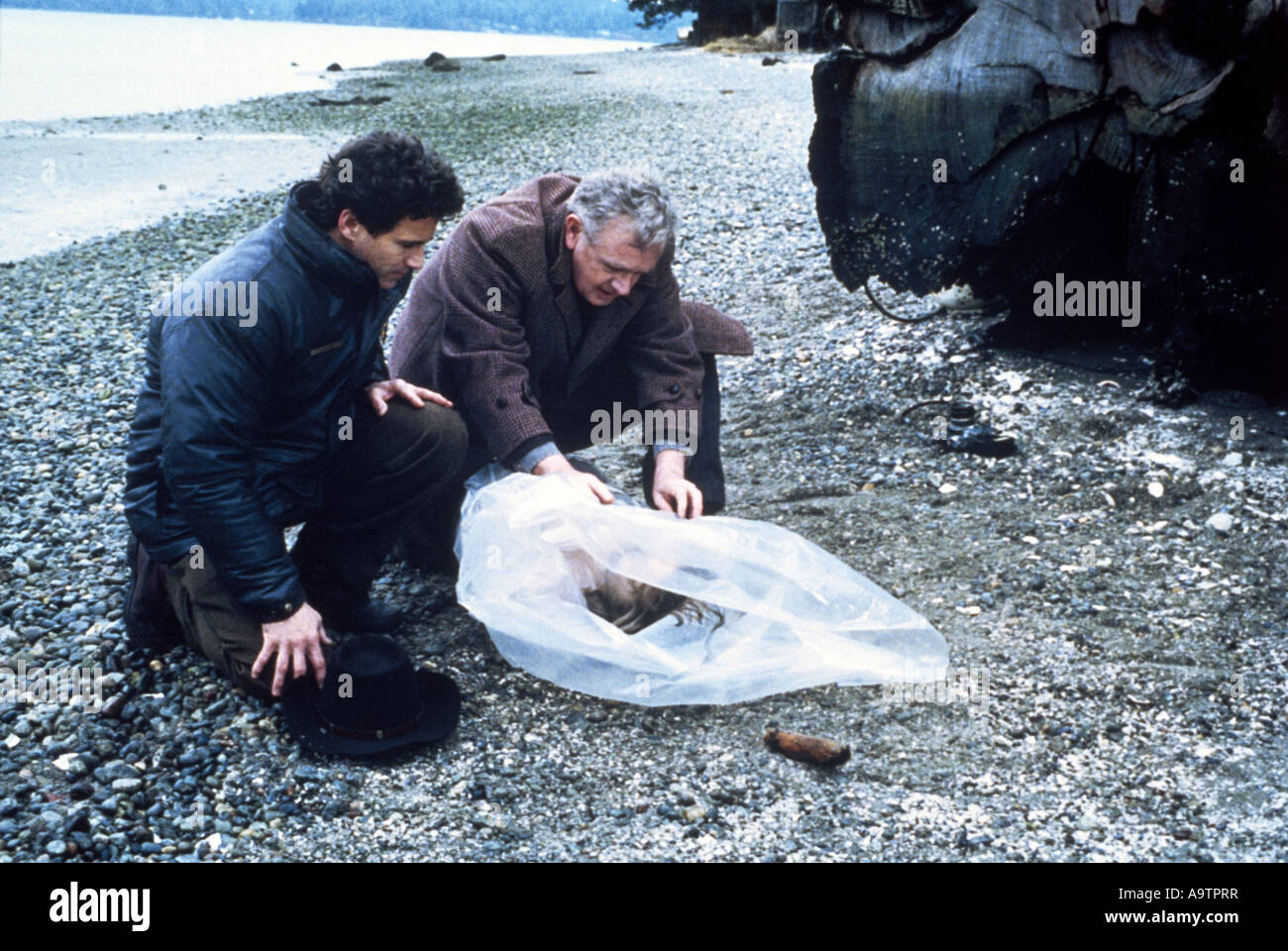 Twin peaks cbs tv series hi-res stock photography and images - Alamy