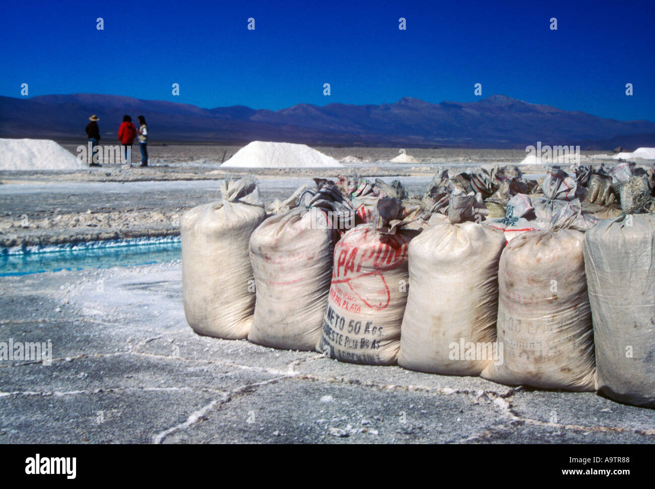 Salt extraction in Salinas Grandes in Argentinian Puna Stock Photo - Alamy