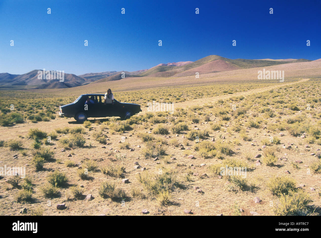 Tourists visiting Puna of Jujuy on their rented car Stock Photo - Alamy