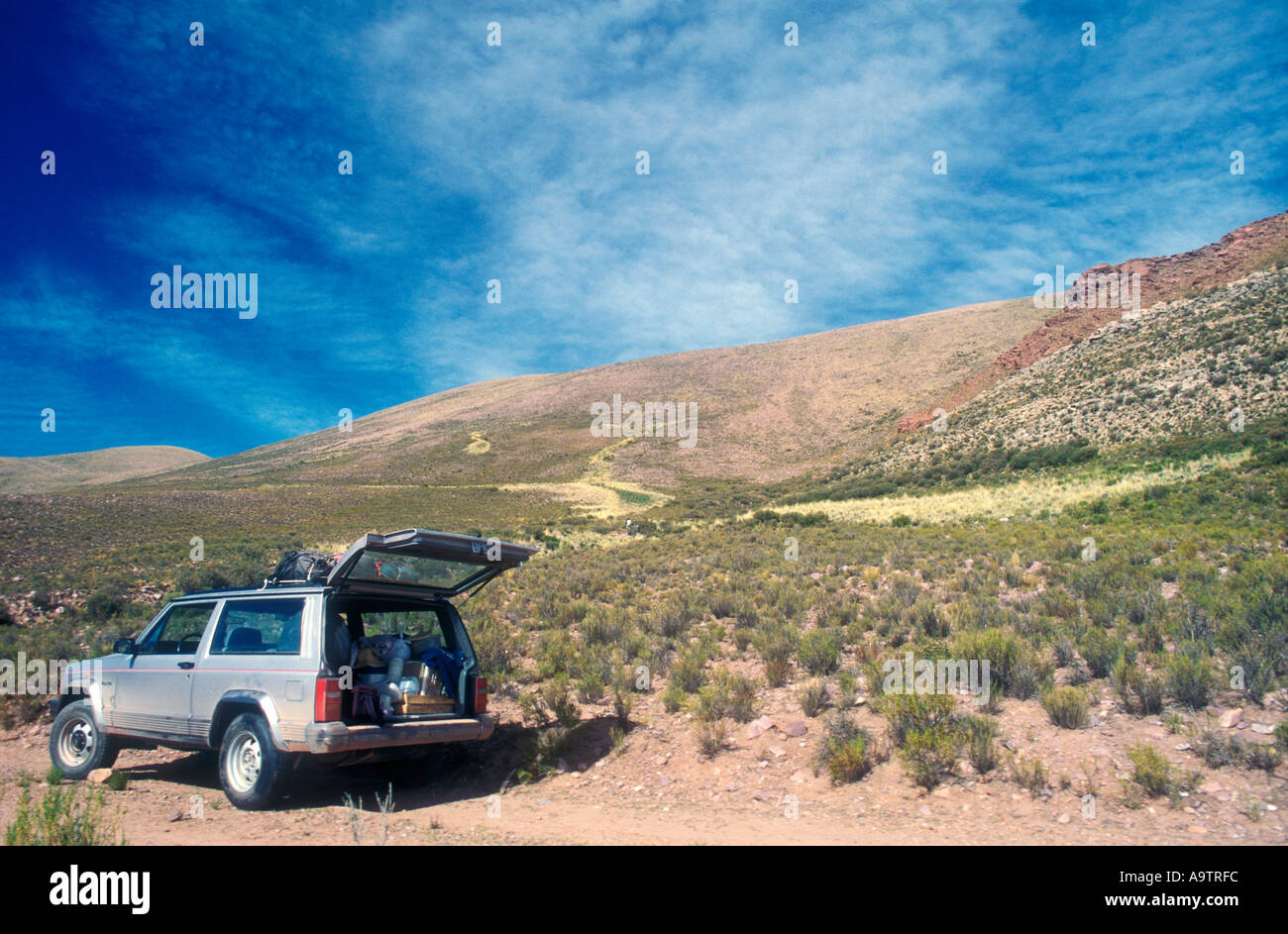 Scientist gathering data in high altitude Puna desert ecosystem from ...