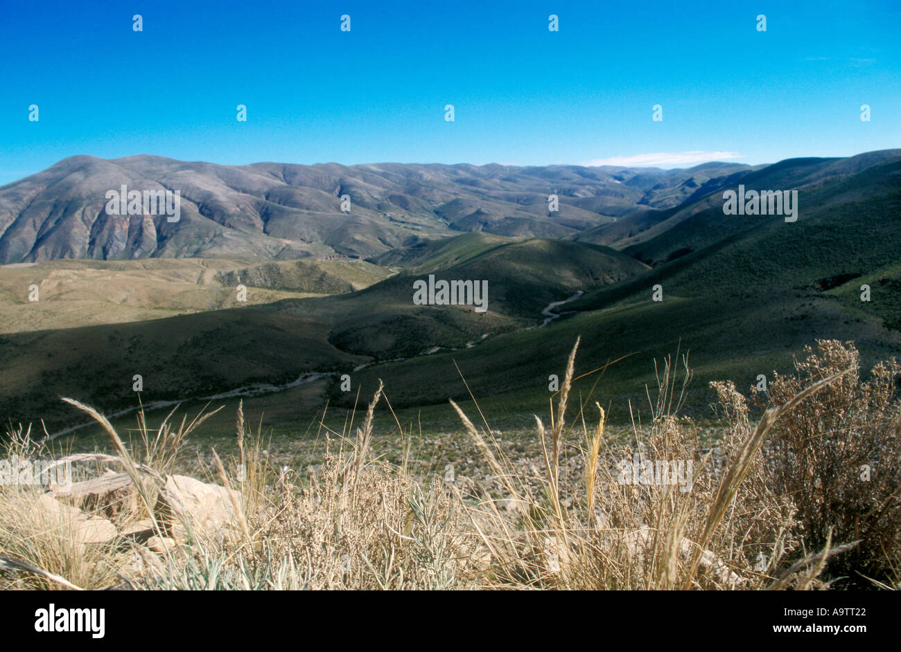 River and landscape in high Andes mountains at Northern Puna Argentina ...