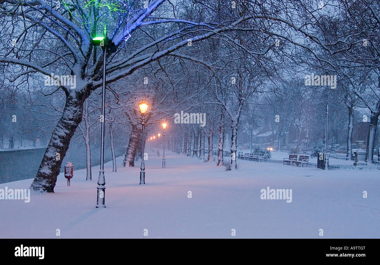 romantic winter snow scene with trees and lights uk england Stock Photo ...