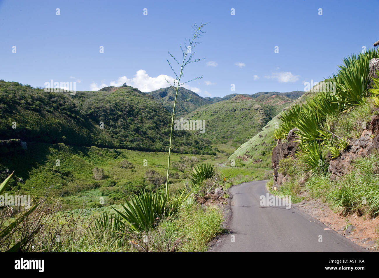 Road West Maui Hawaii Stock Photo - Alamy