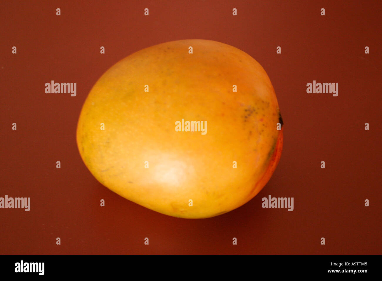 Still life of a fresh mango on a red background Stock Photo - Alamy