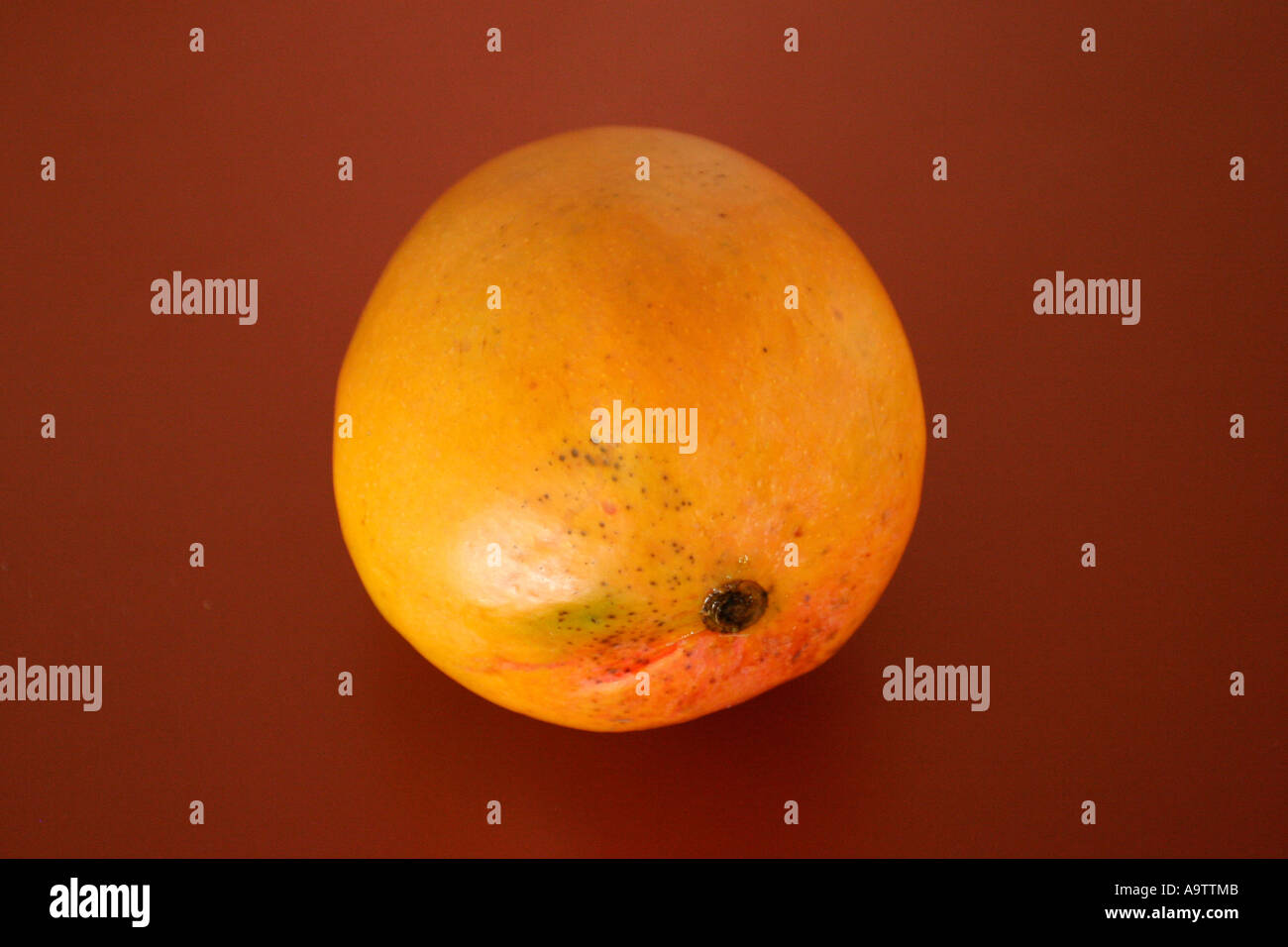 Still life of a fresh mango on a red background Stock Photo - Alamy