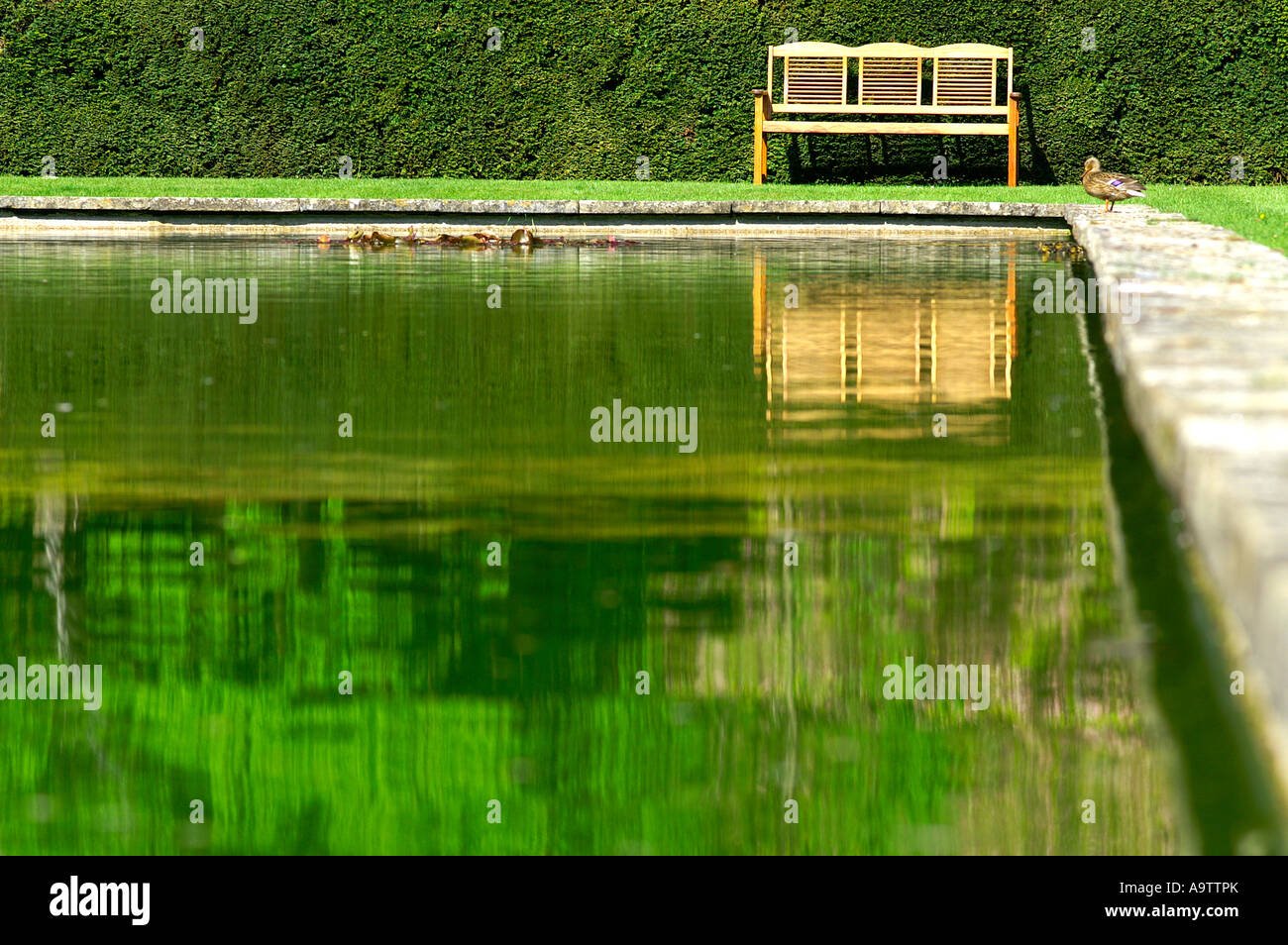 bench in the swimming pool corner Stock Photo - Alamy