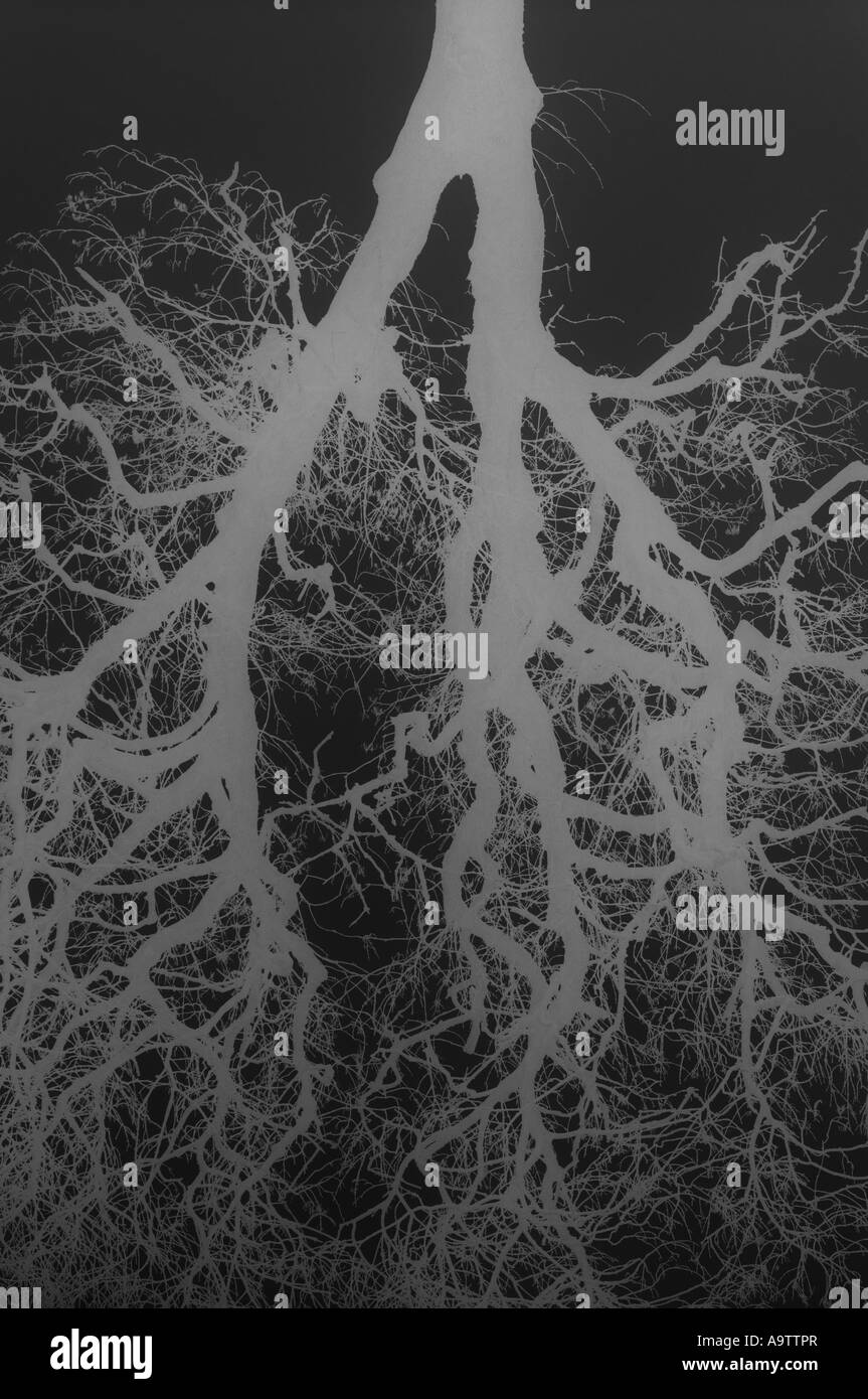 Angus scotland landscape Black and White Stock Photos & Images - Alamy