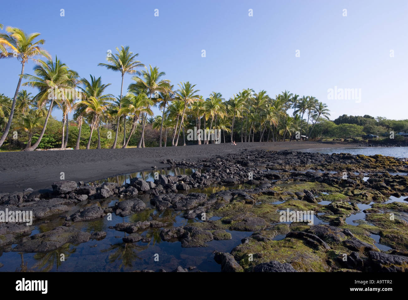 Punaluu Beach Park Island of Hawaii Stock Photo - Alamy