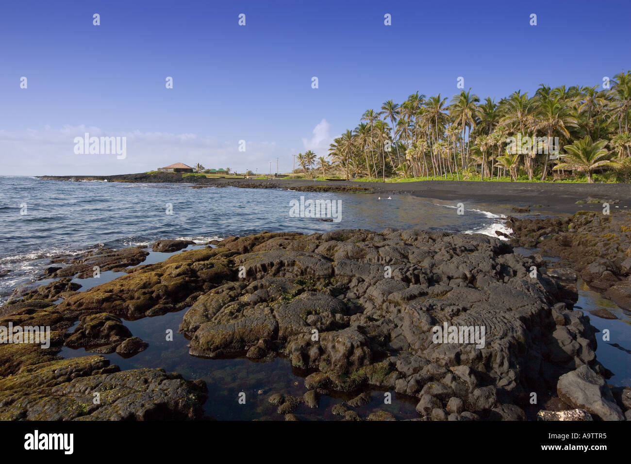 Punaluu beach hi-res stock photography and images - Alamy