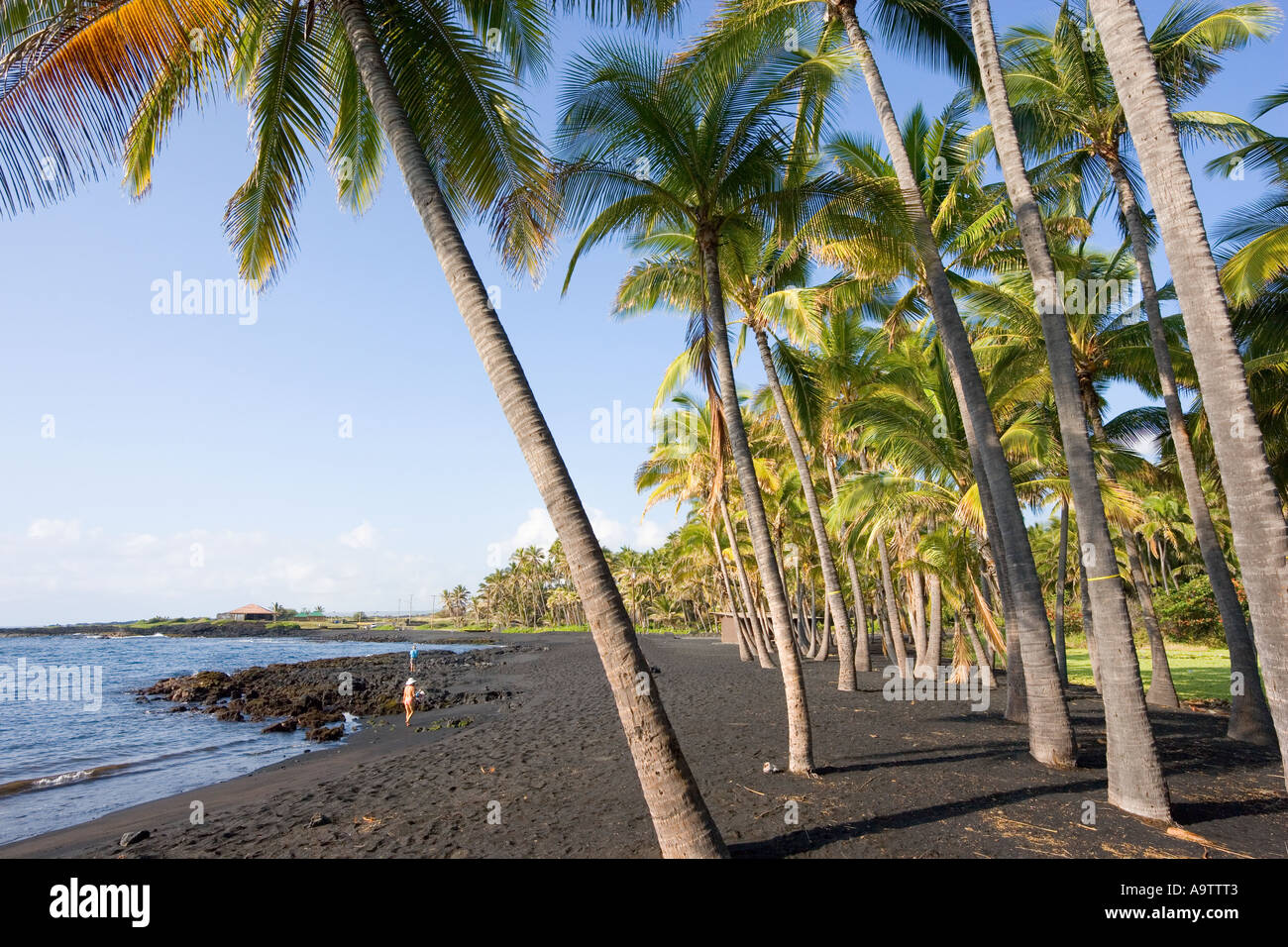 Punaluu Beach Park Island of Hawaii Stock Photo - Alamy