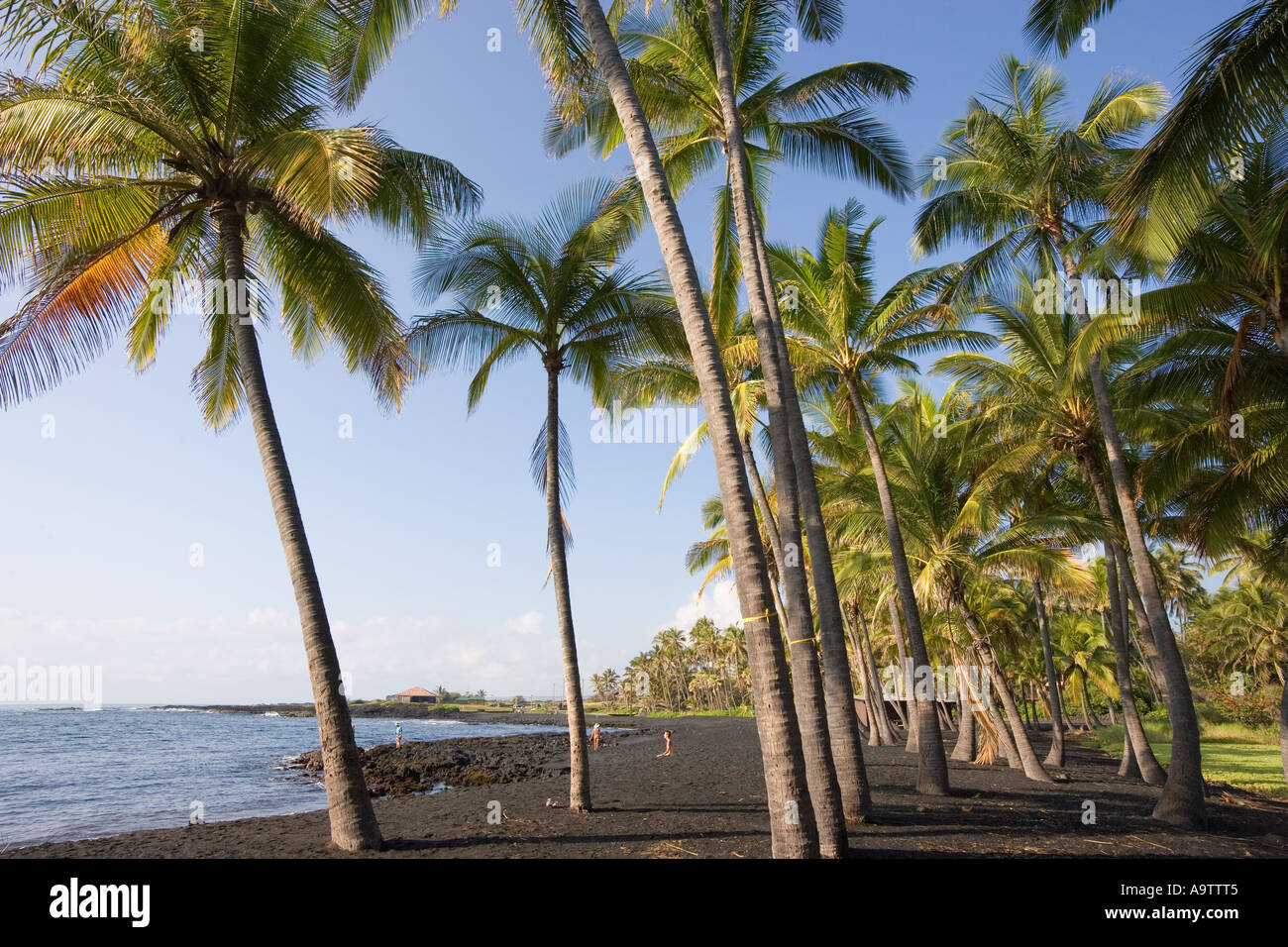 Punalu’u beach park hi-res stock photography and images - Alamy