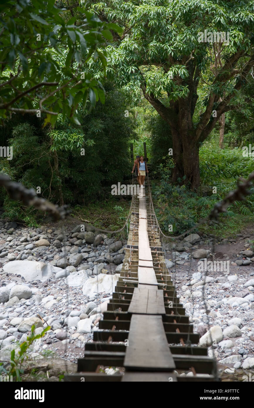 Swinging bridge Waihee River Maui Hawaii Stock Photo - Alamy