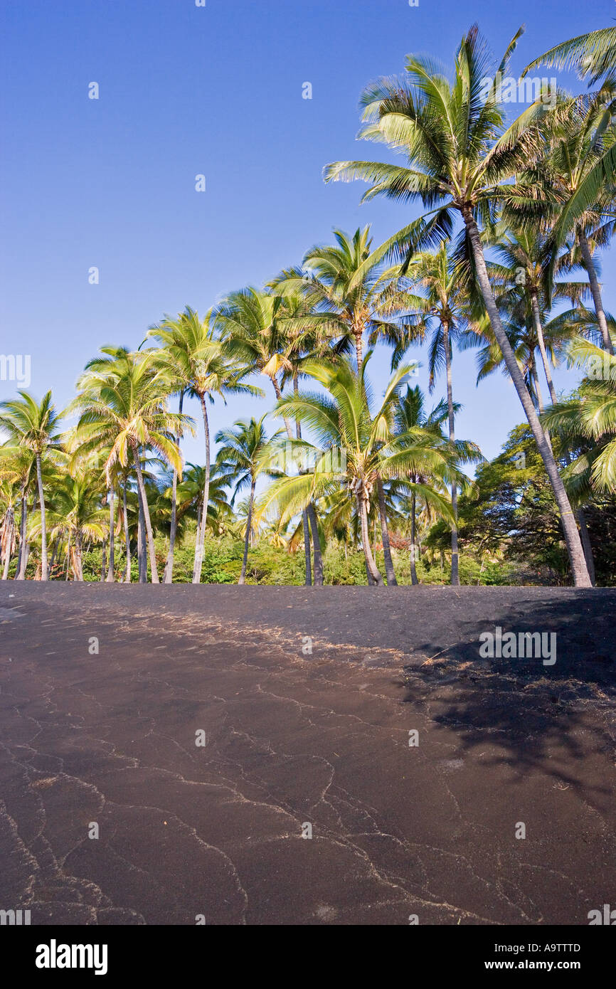 Punaluu Beach Park Island of Hawaii Stock Photo - Alamy