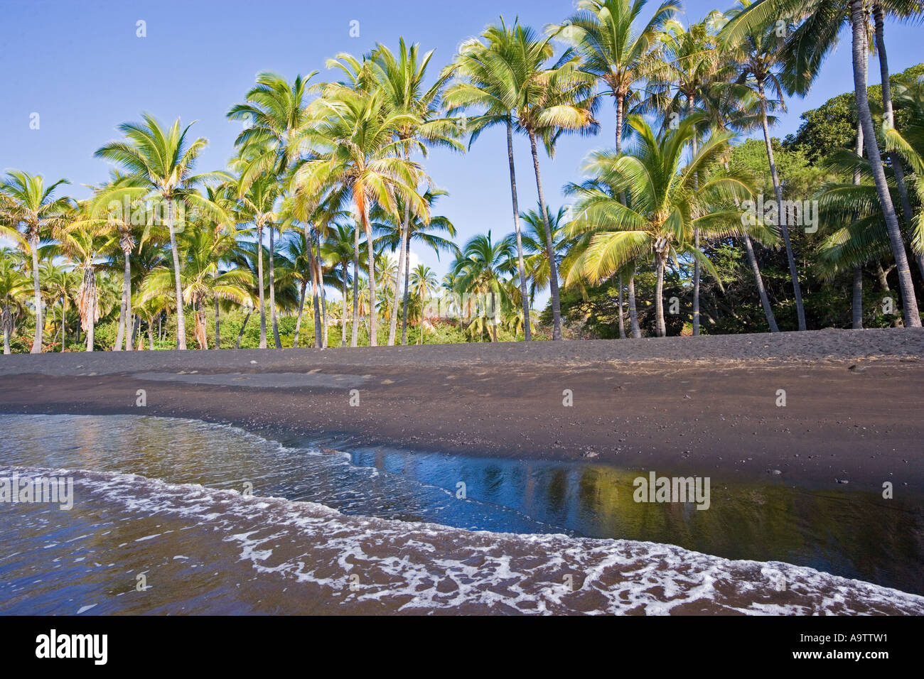 Punaluu Beach Park Island of Hawaii Stock Photo - Alamy