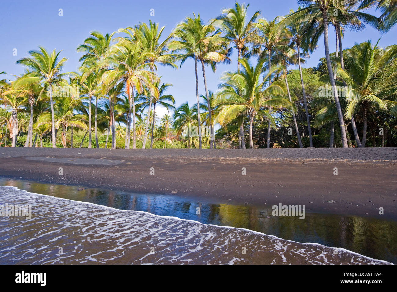 Punaluu Beach Park Island of Hawaii Stock Photo - Alamy