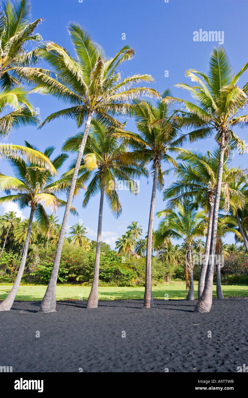 Punaluu Beach Park Island of Hawaii Stock Photo - Alamy