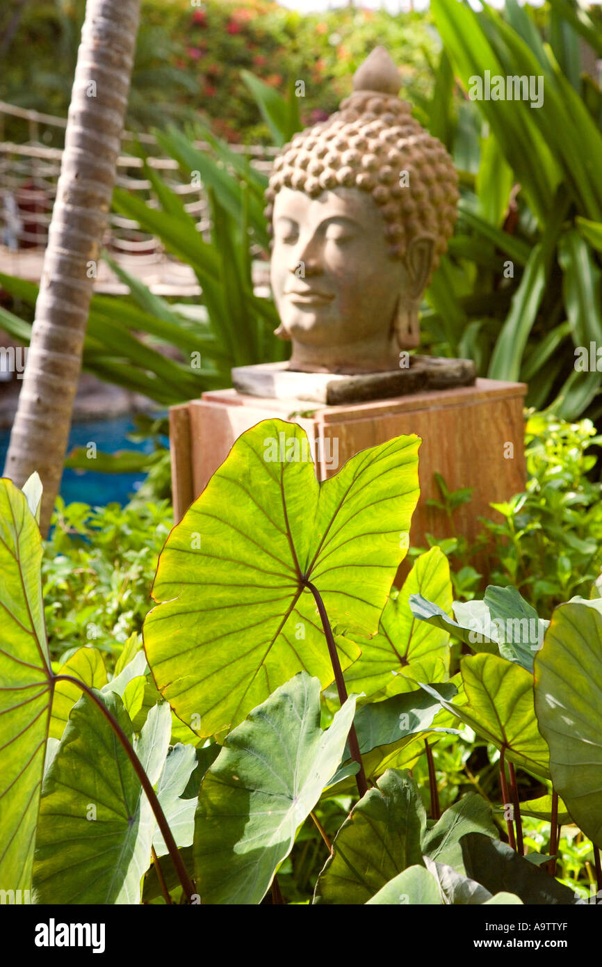 Statue Hyatt Maui Stock Photo - Alamy