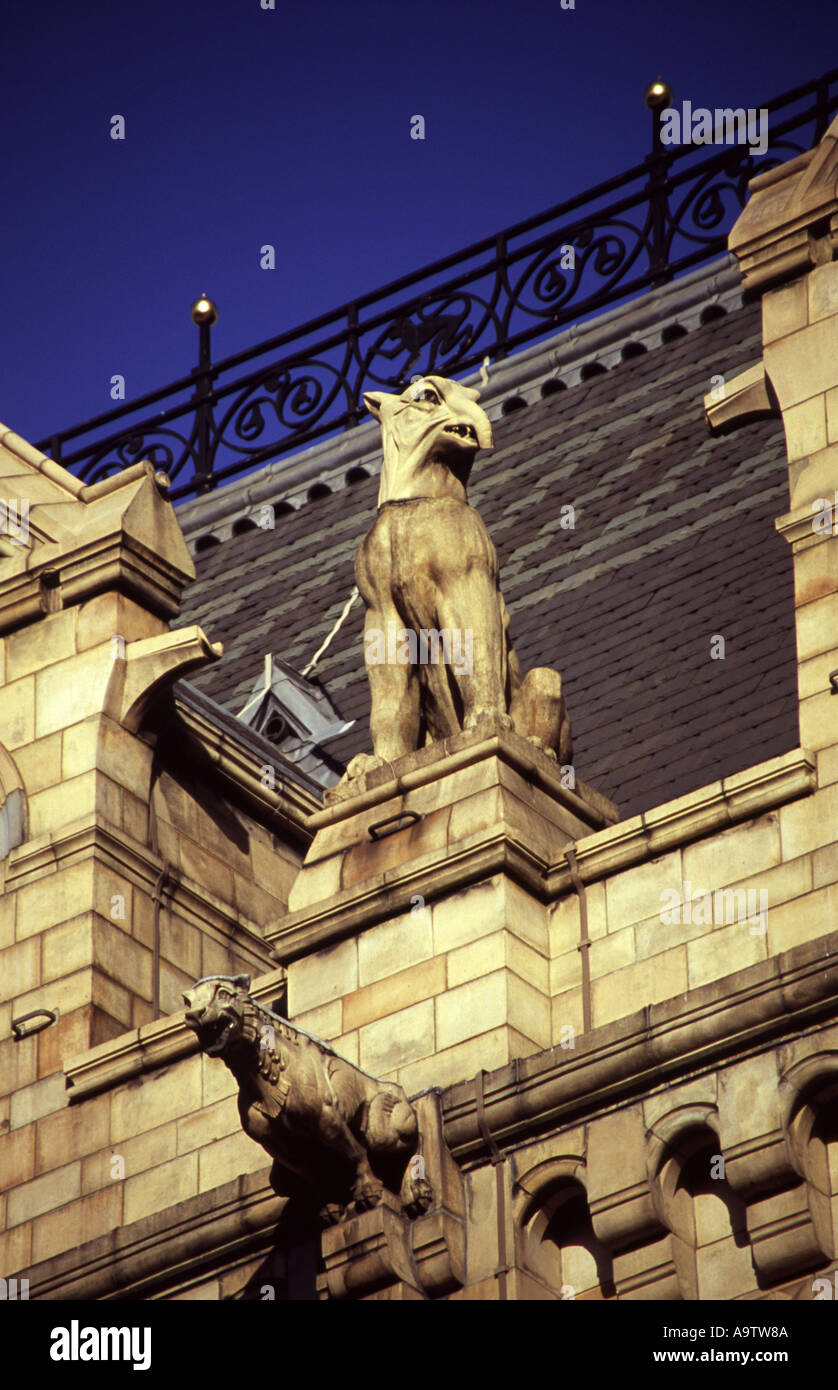 Gargoyle. Natural History Museum London England Stock Photo - Alamy