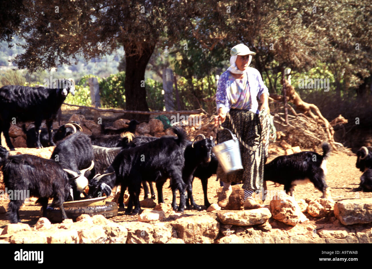 Providing water hi-res stock photography and images - Alamy