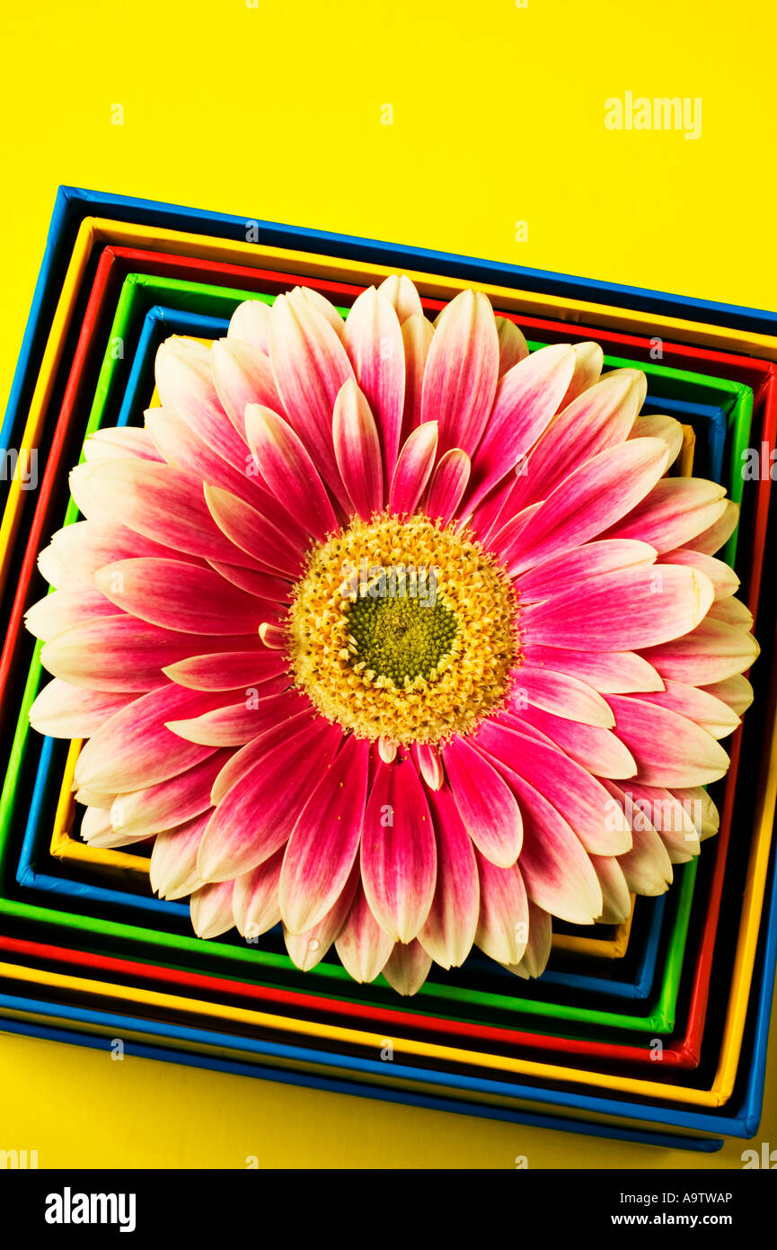 Nested square hi-res stock photography and images - Alamy