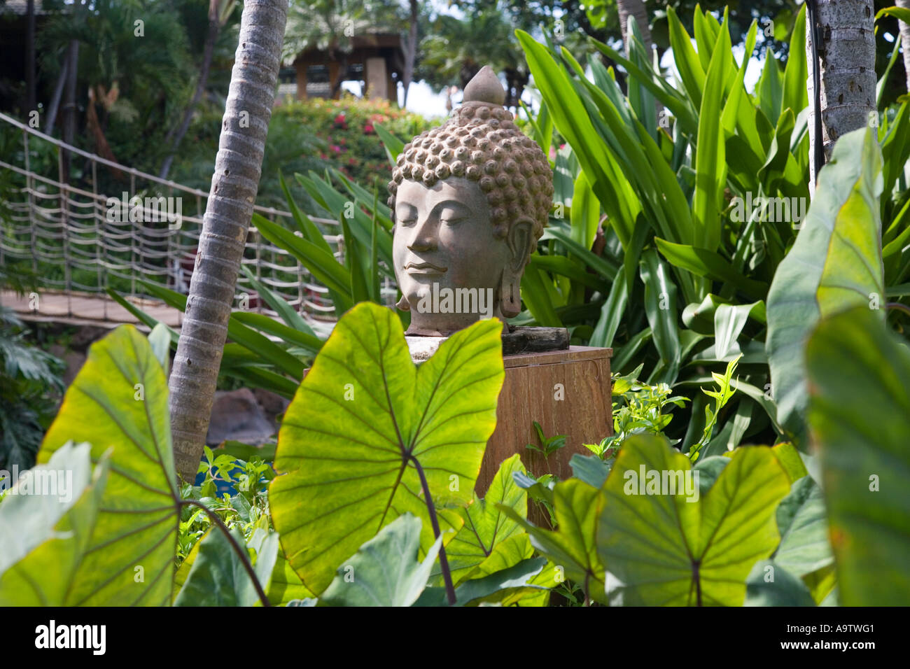 Statue Hyatt Maui Stock Photo - Alamy