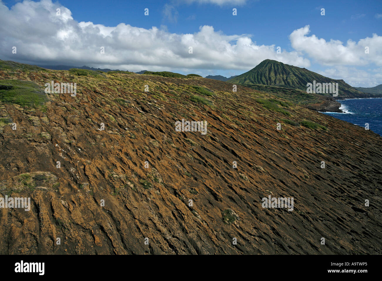 Koko head hawaii hi-res stock photography and images - Alamy