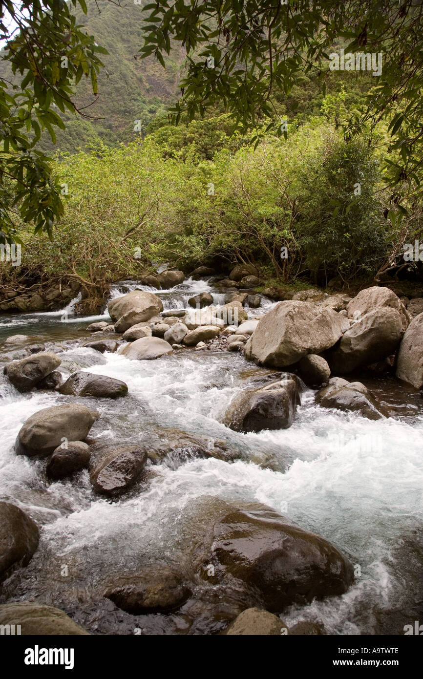 Waihee Stream, Maui, Hawaii Stock Photo - Alamy