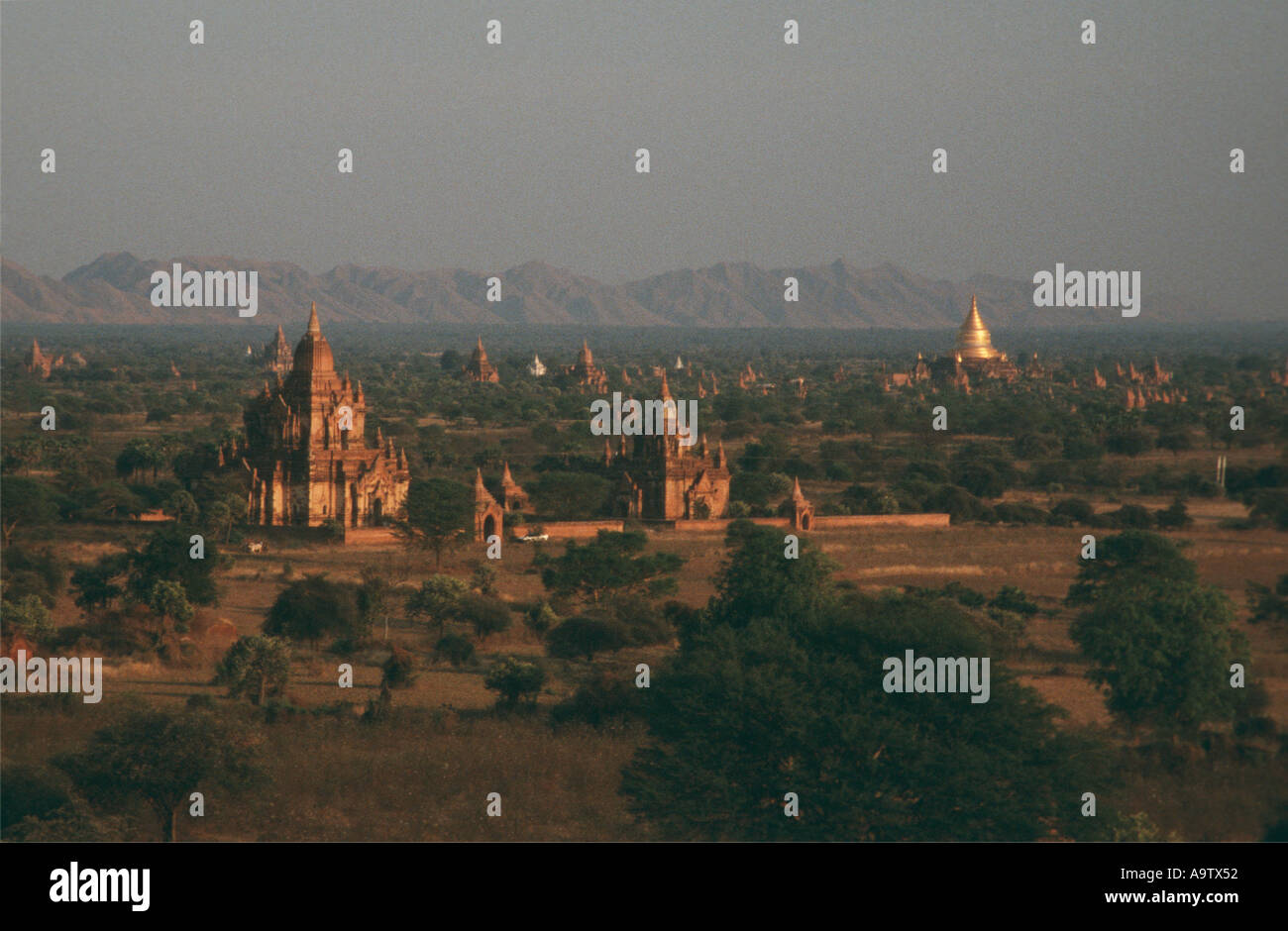 Countryside of Bagan dotted with golden temples Bagan Magwe Division ...