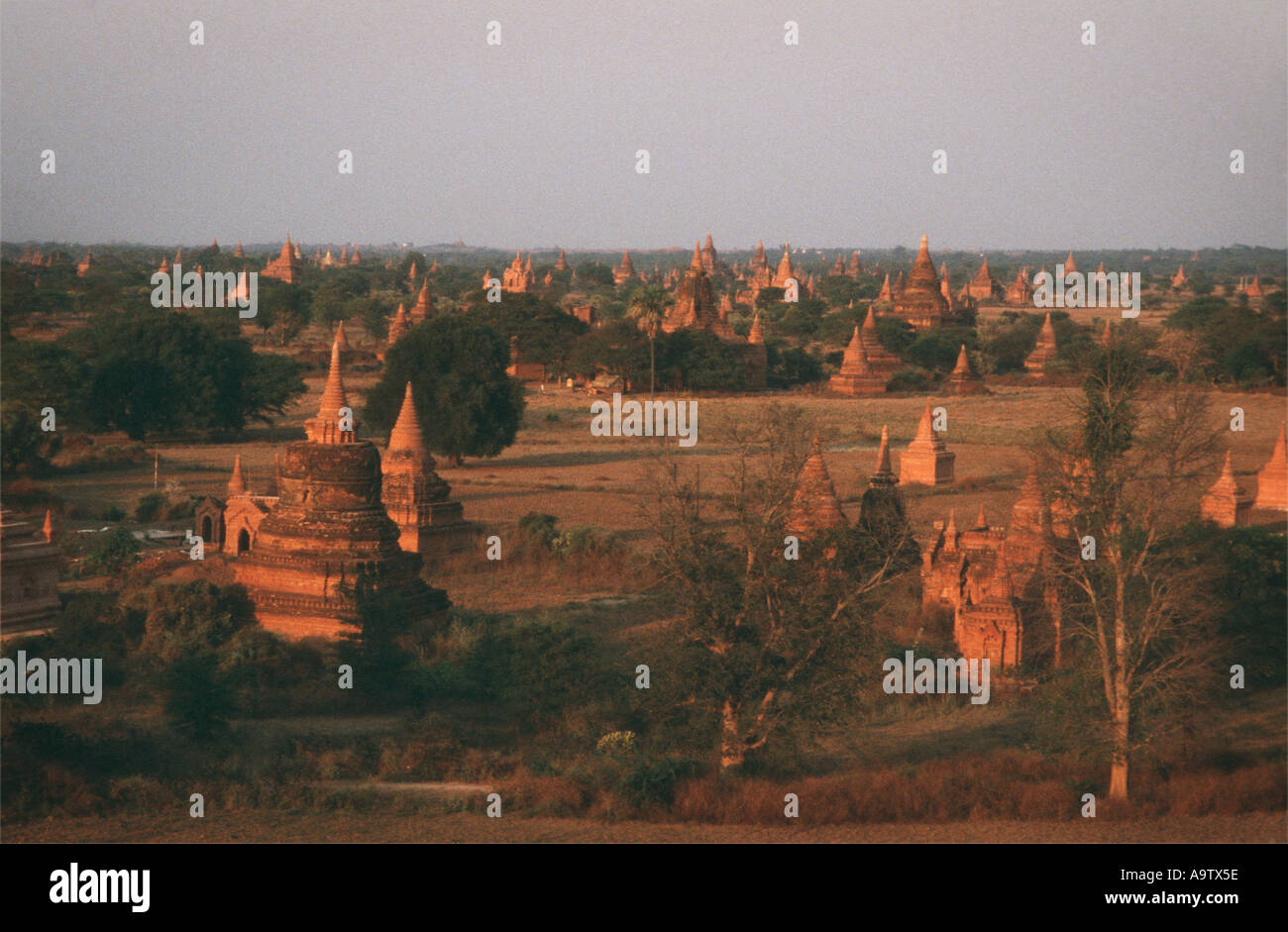 Countryside of Bagan dotted with golden temples Bagan Magwe Division ...