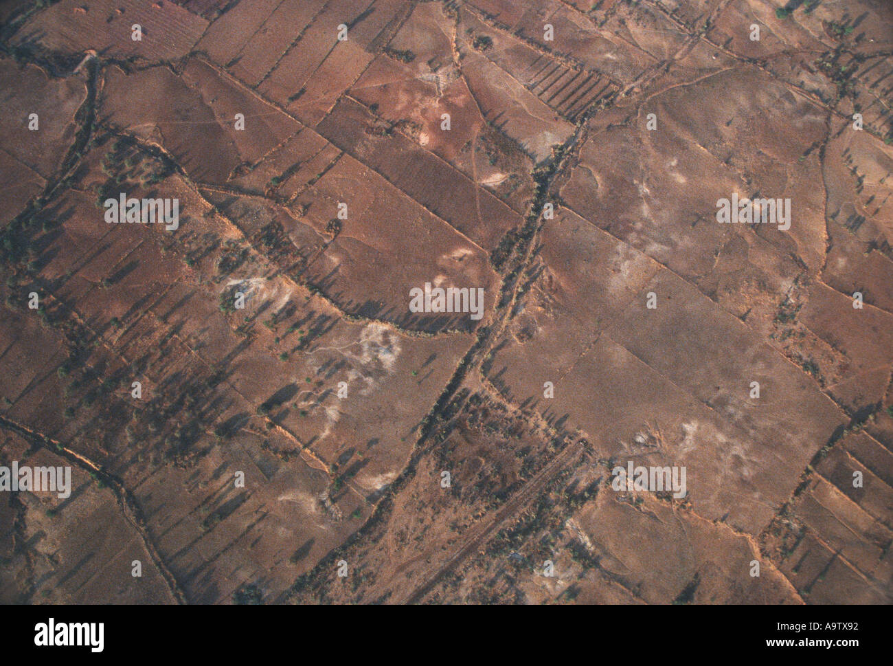 Aerial view of temples on plain of Bagan Bagan Magwe Division Myanmar ...