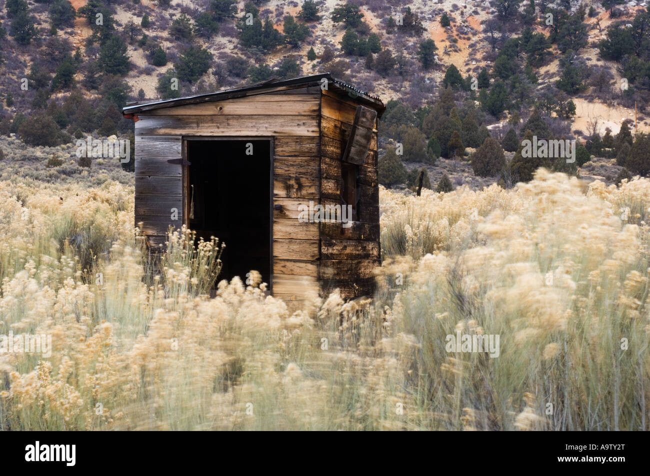 Abandoned outhouse in sagebrush country Utah Stock Photo - Alamy