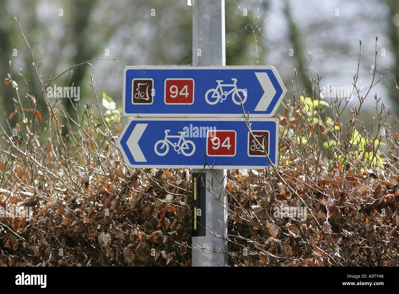 Cycling country lanes uk hi-res stock photography and images - Alamy
