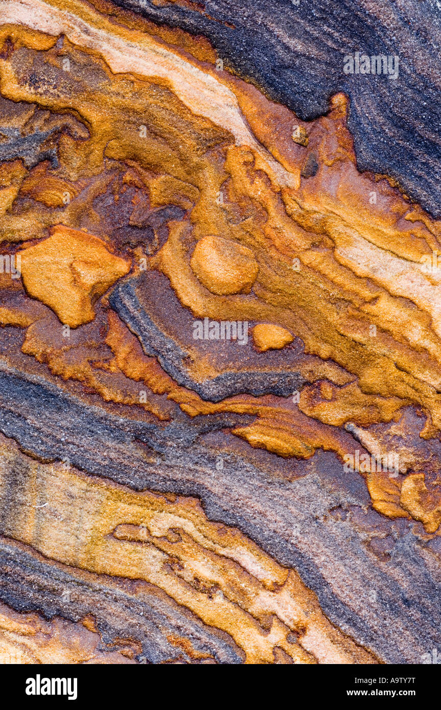 Damp sandstone in Grand Escalante National Monument Stock Photo - Alamy