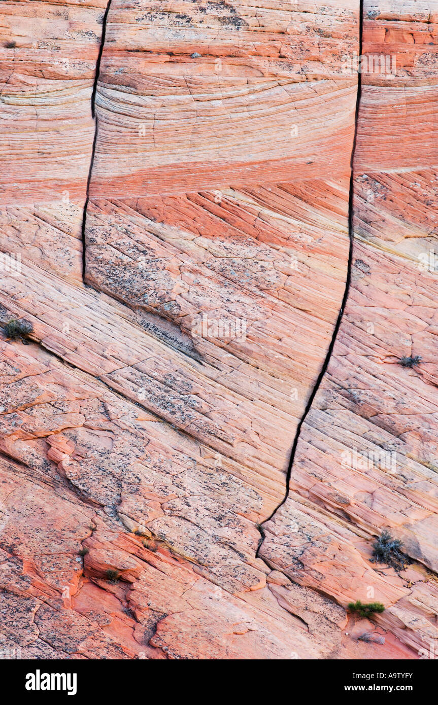 Fracture patterns in sandstone Zion National Park Utah Stock Photo - Alamy
