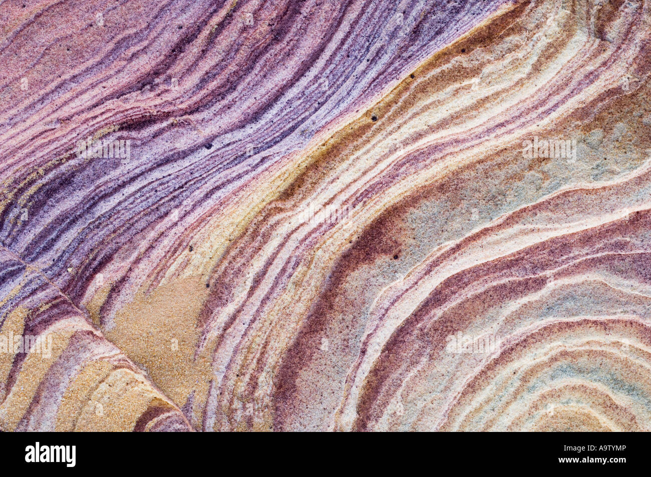 Lamination patterns in sandstone Valley of Fire State Park Nevada Stock ...