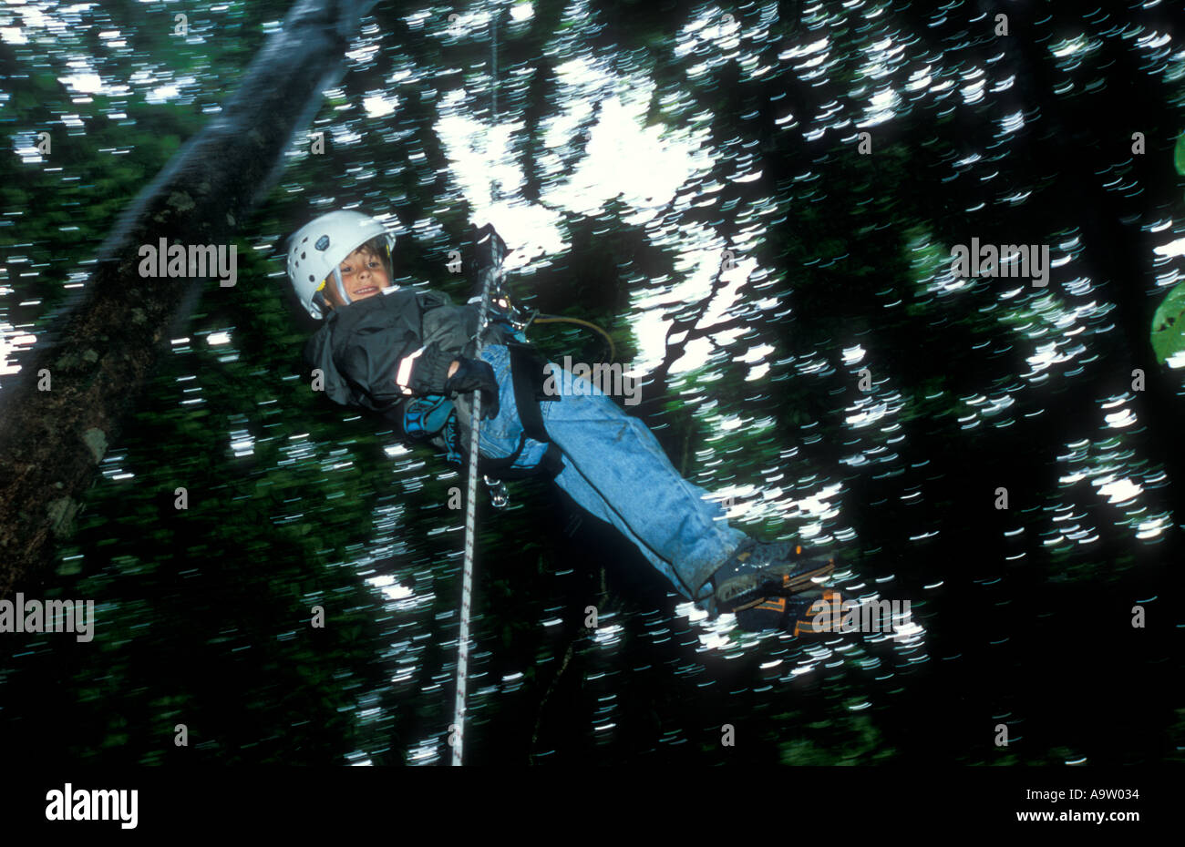 BOY climbing in rainforest canopy, COSTA RICA Stock Photo - Alamy