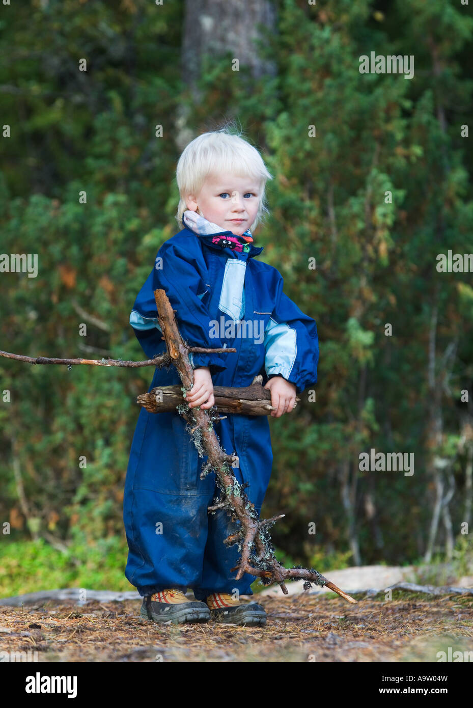 Boy in a Norwegian naturbarnehage nature nursery gathering fallen wood ...